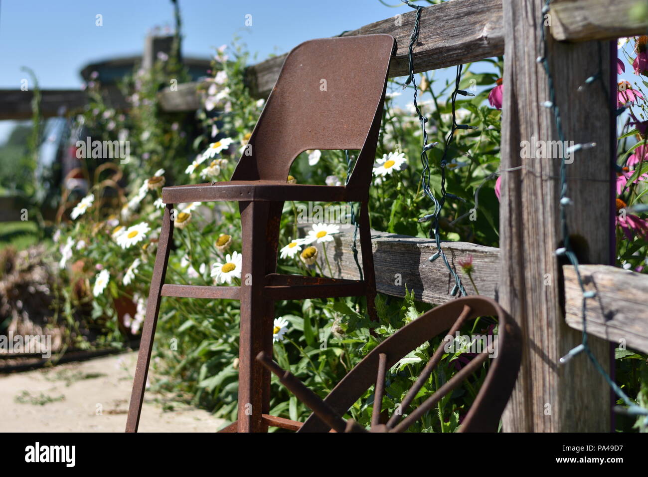 Day out on the farm hi-res stock photography and images - Alamy
