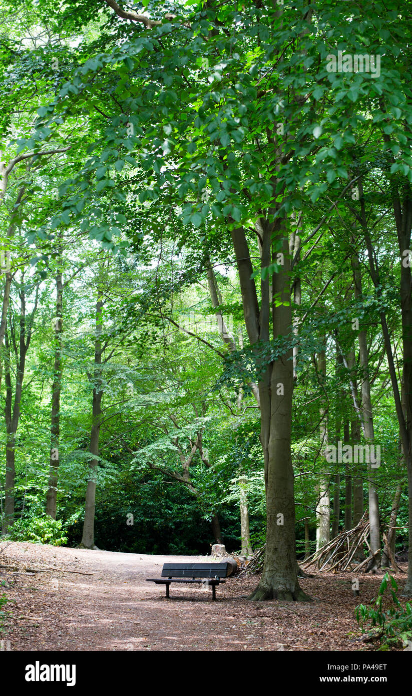 Secluded Park Bench High Resolution Stock Photography and Images - Alamy