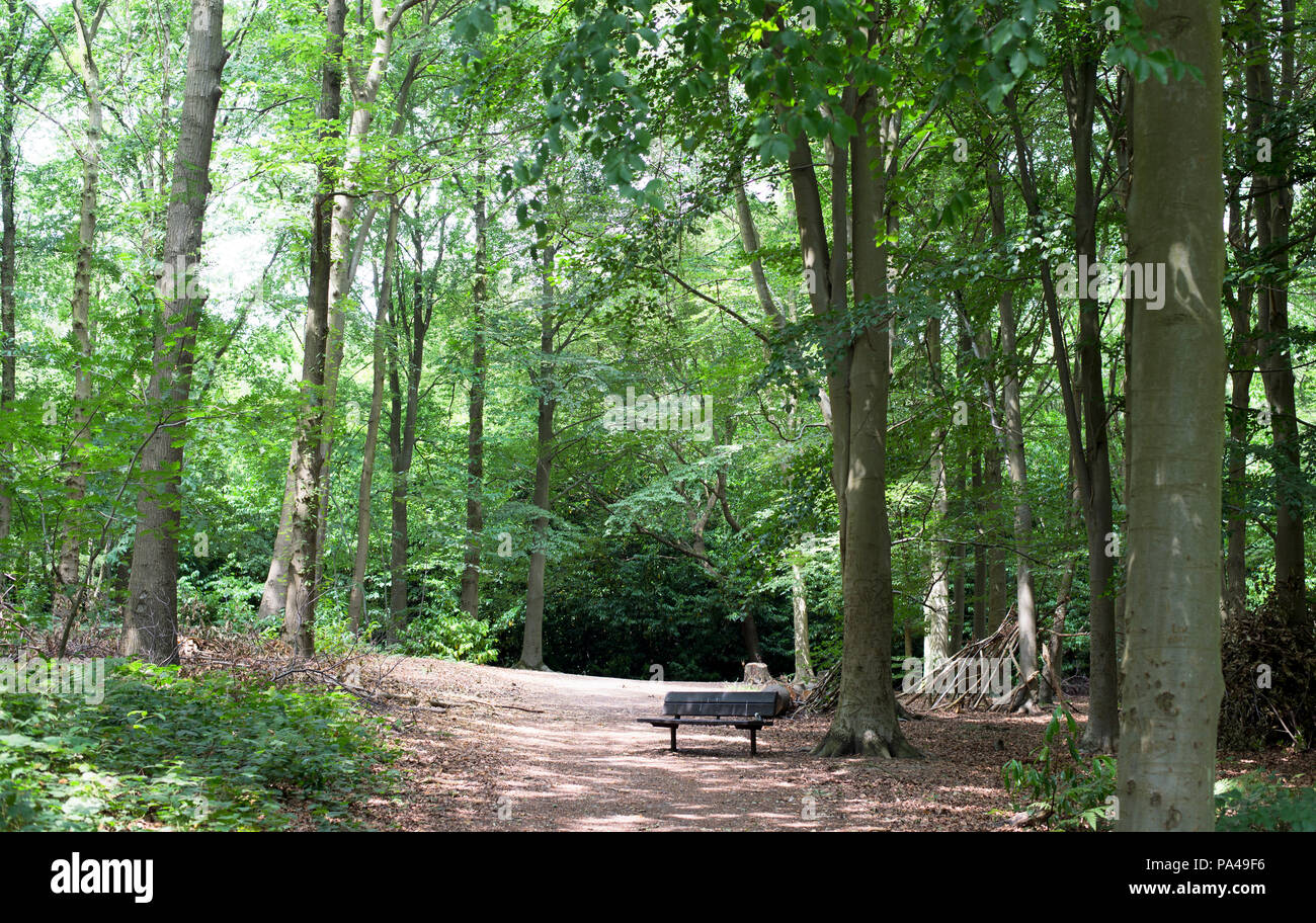 Secluded park bench hi-res stock photography and images - Alamy