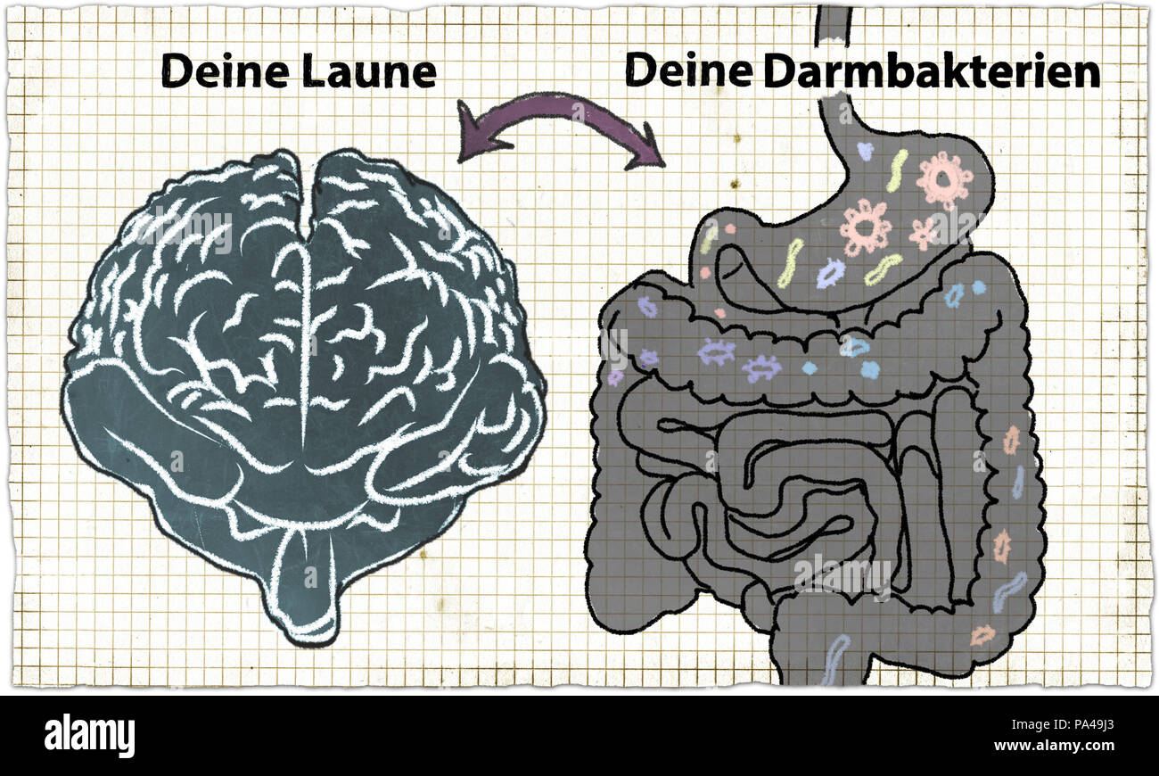 Gut flora hi-res stock photography and images - Alamy