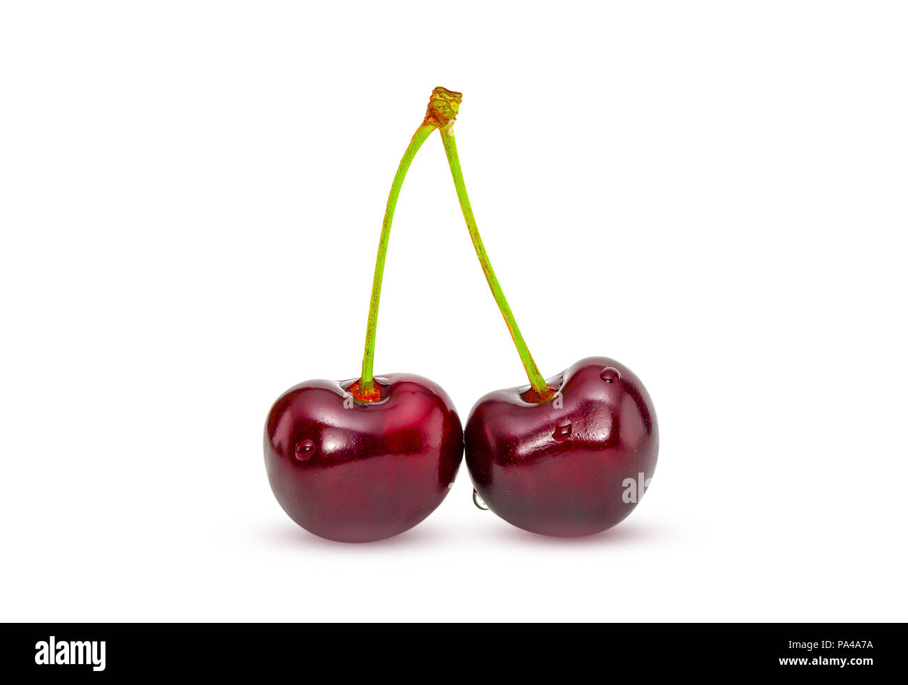 Cherry isolated on white background Stock Photo - Alamy