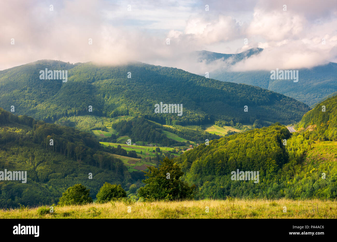 lovely mountainous countryside in autumn. forest on a grassy hillside ...