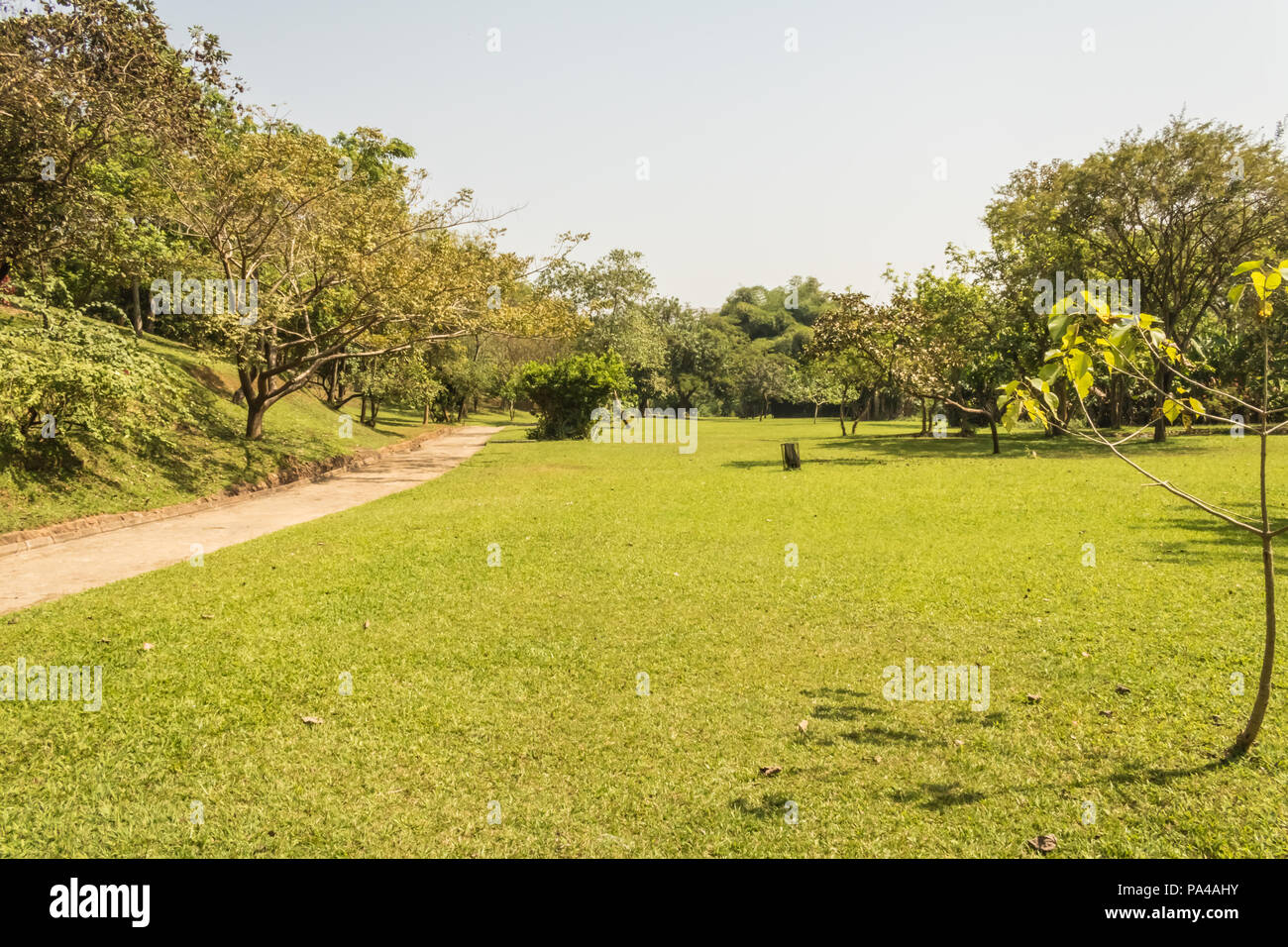 A beautiful city green freshly mowed park with flowers and trees ...