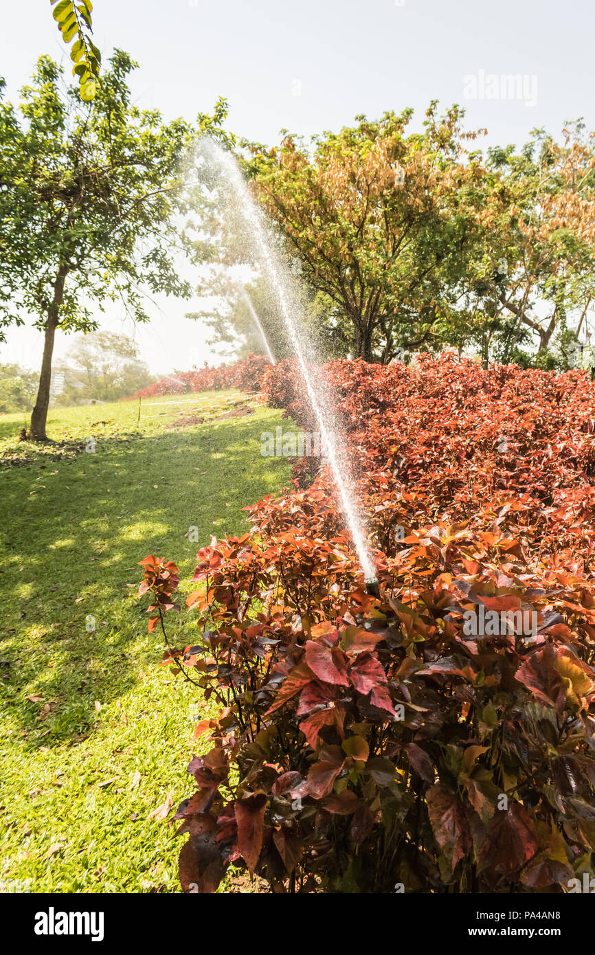 A beautiful city green freshly mowed park with colourful flowers and ...