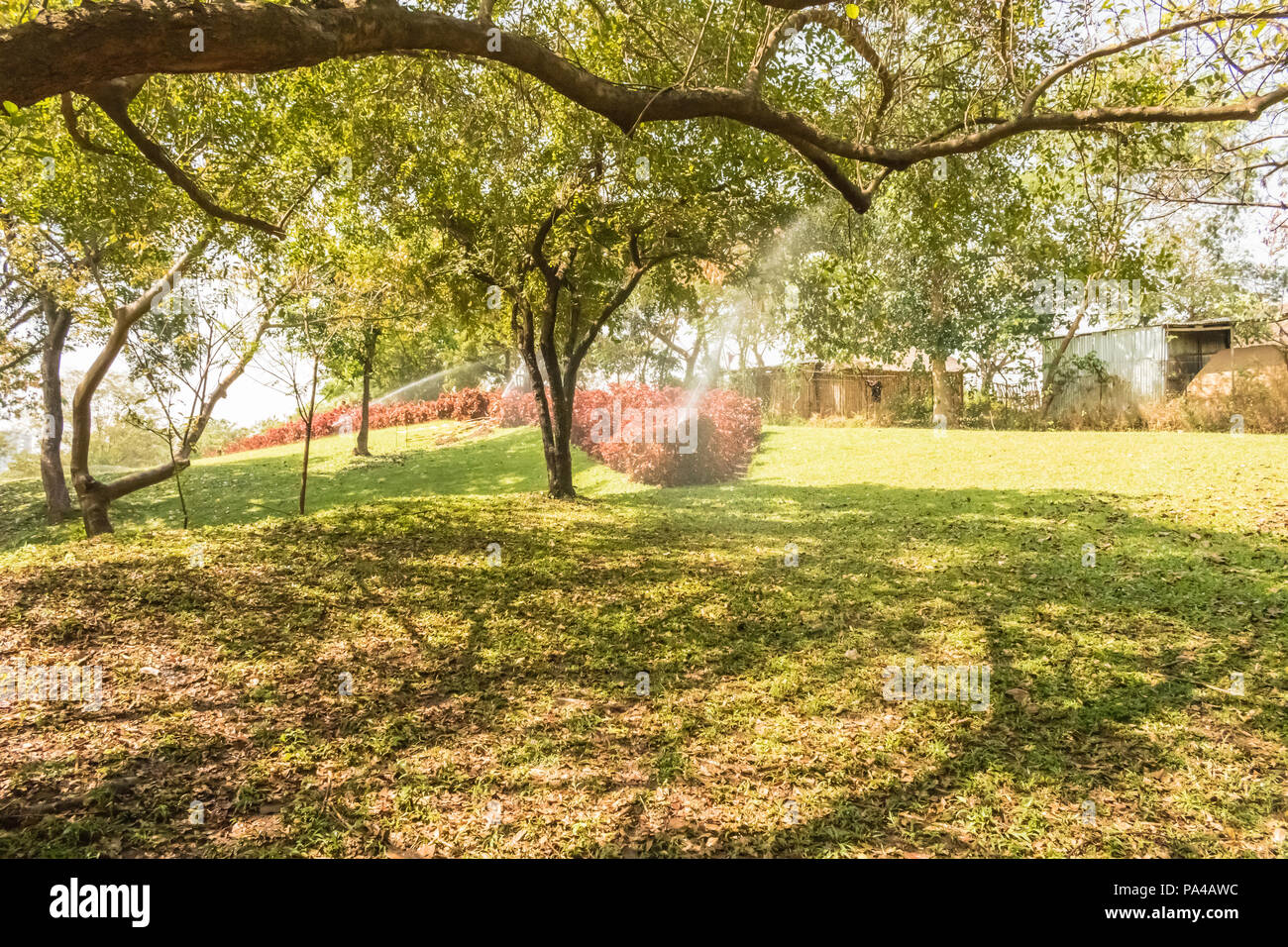 A beautiful city green freshly mowed park with colourful flowers and ...