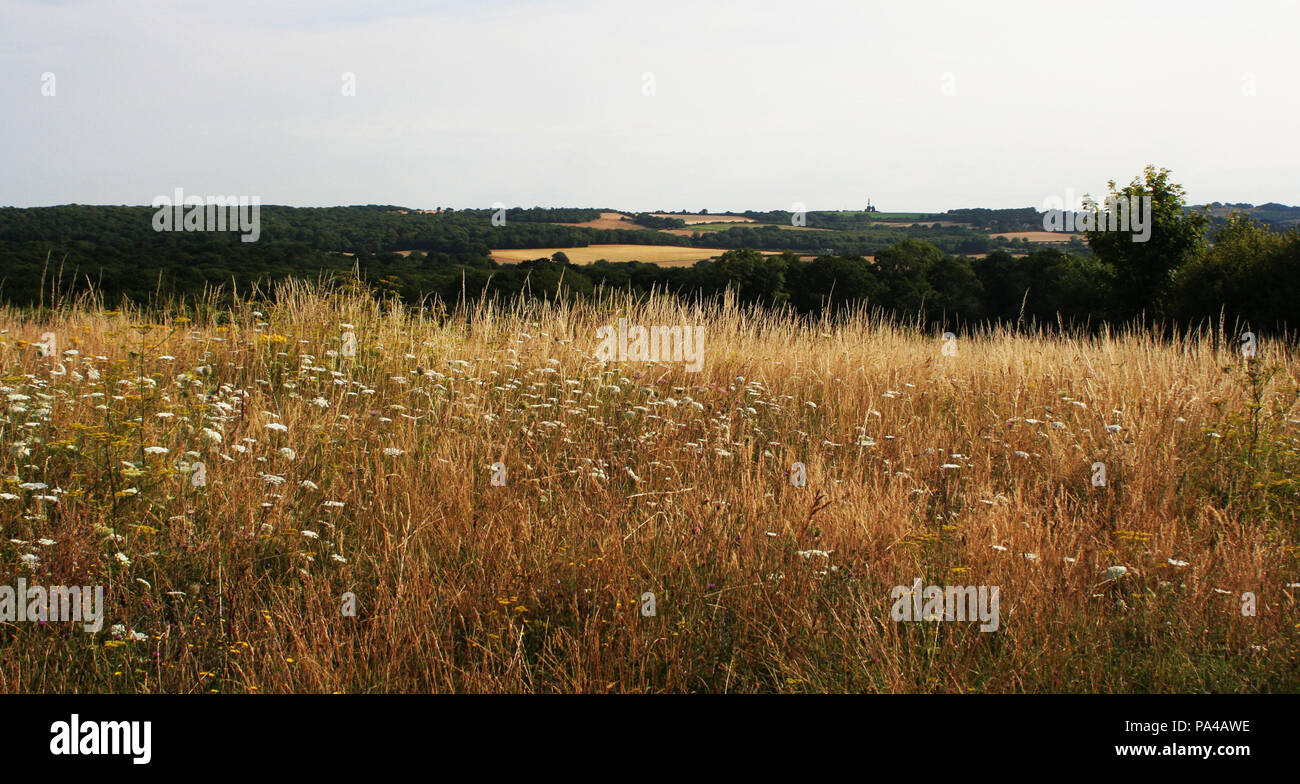 Highdown hill hi-res stock photography and images - Alamy