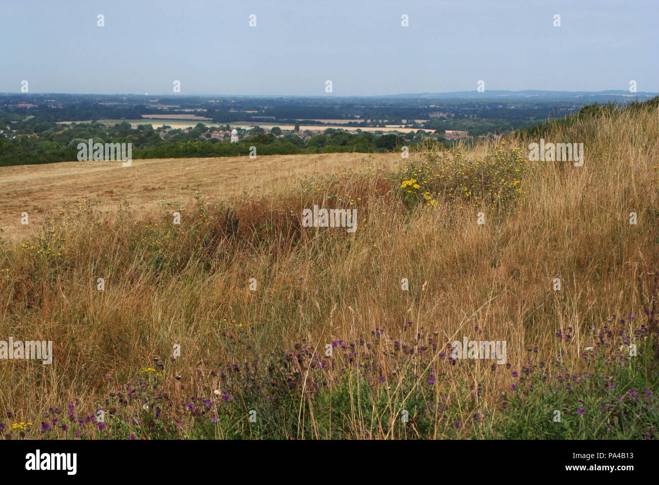Highdown farm hi-res stock photography and images - Alamy