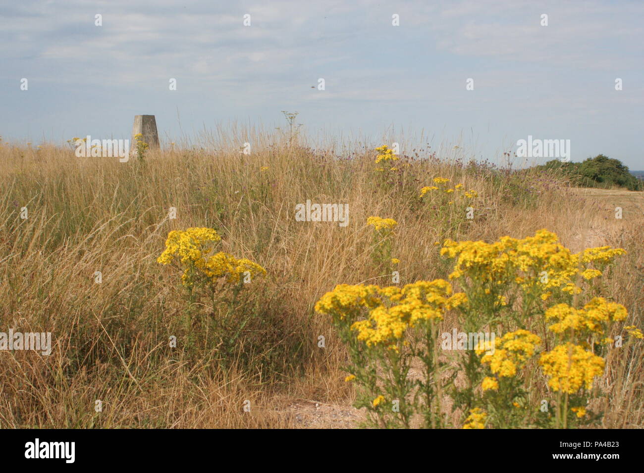 Highdown hill hi-res stock photography and images - Alamy