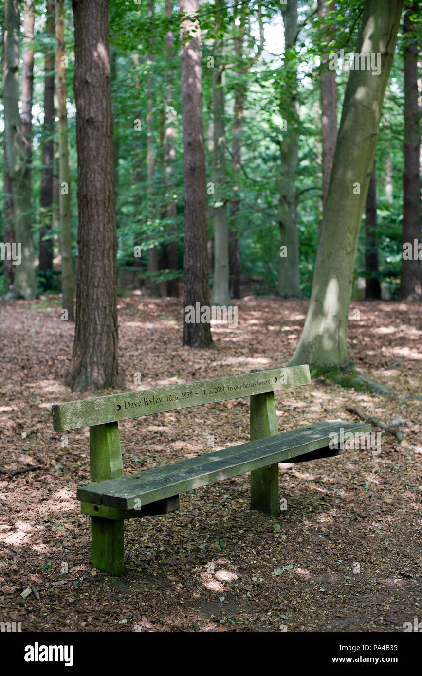 Memorial bench inscription hi-res stock photography and images - Alamy