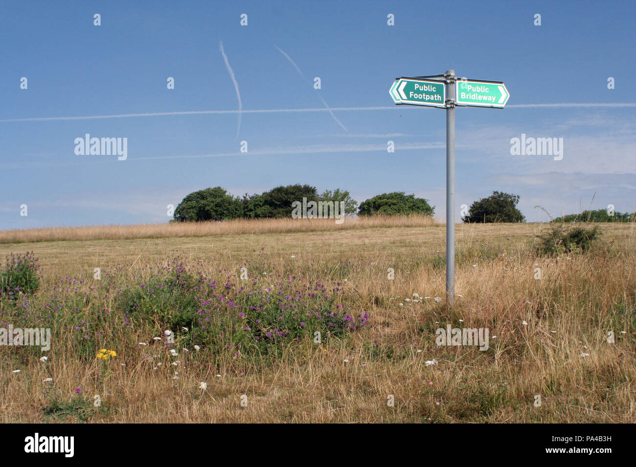Highdown hill hi-res stock photography and images - Alamy
