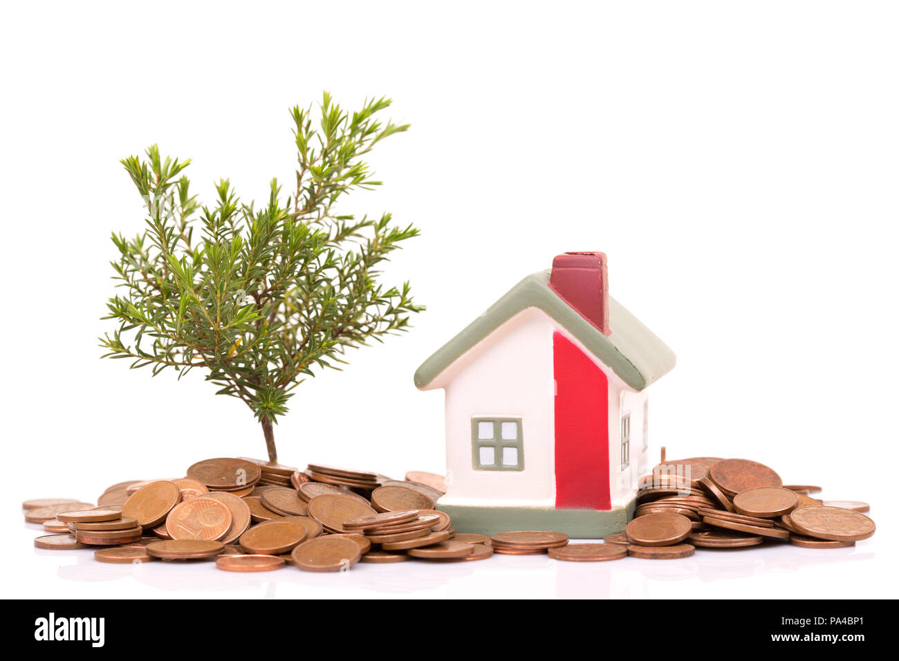 Coins, house and plant isolated on white background Stock Photo - Alamy
