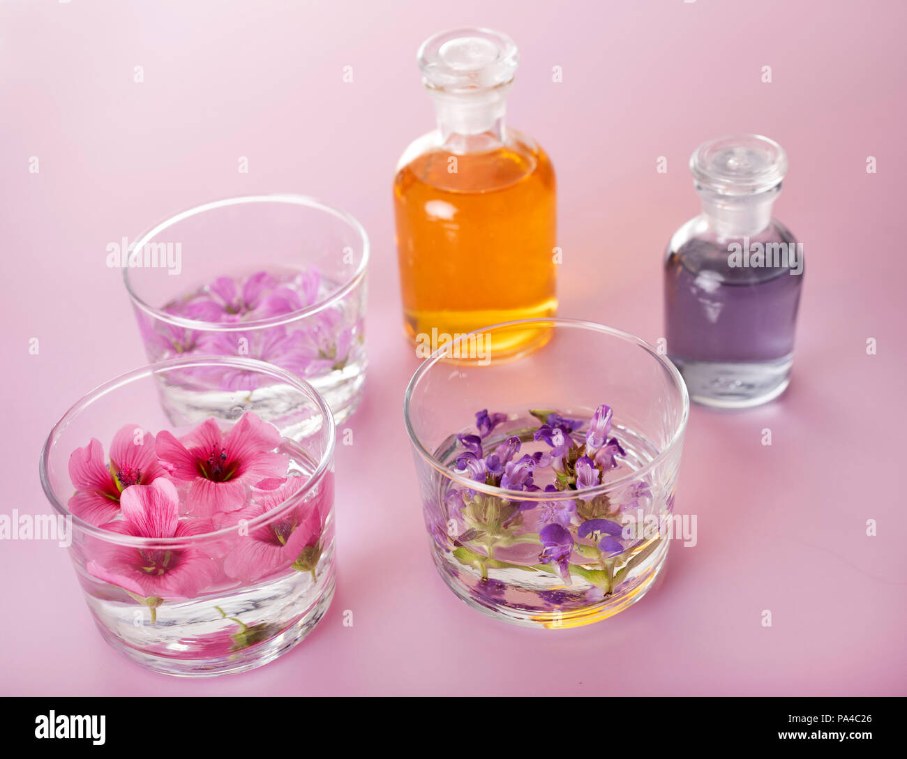 plant tincture in front of pink background Stock Photo - Alamy