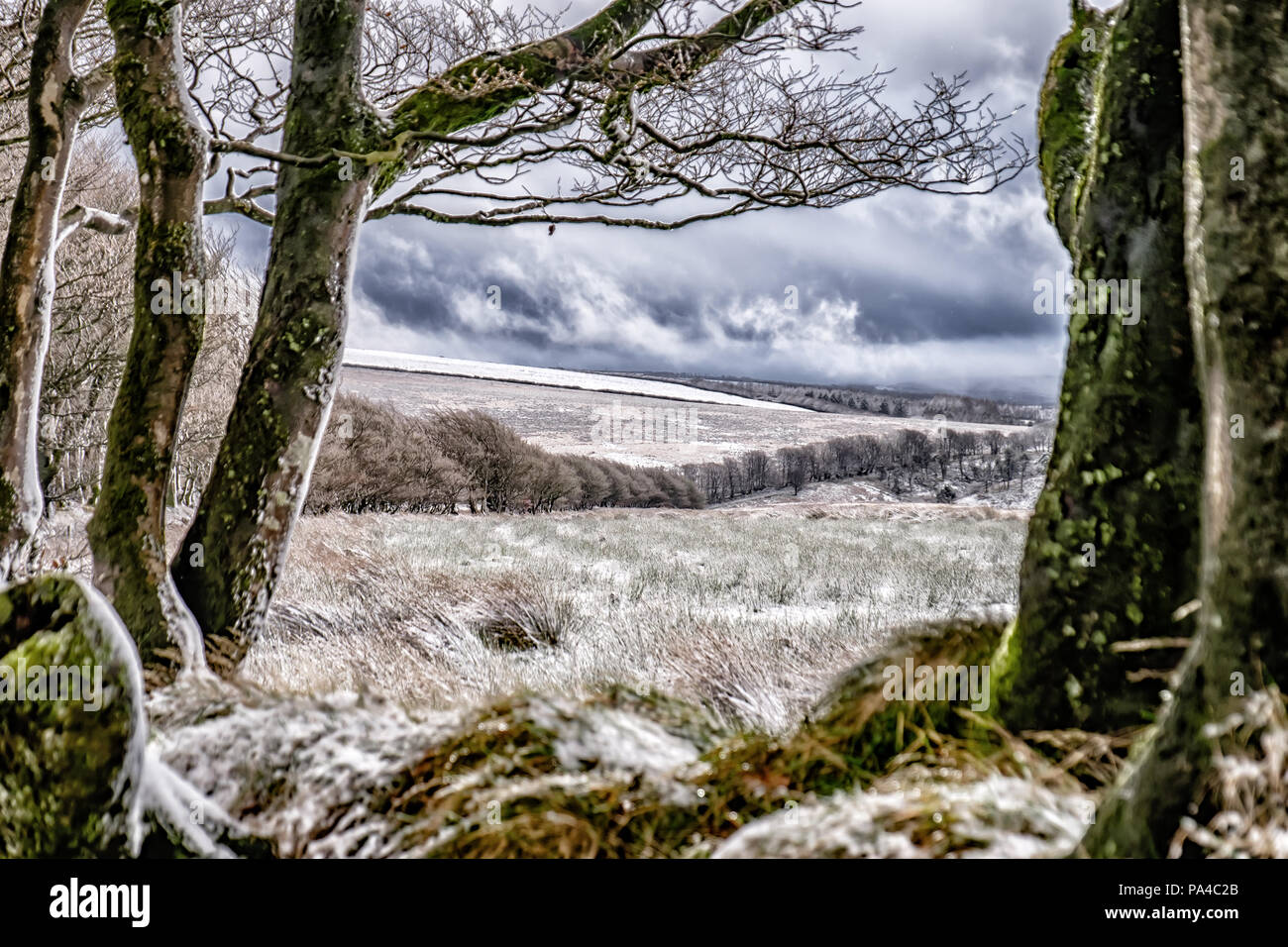 Barrow moor hi-res stock photography and images - Alamy