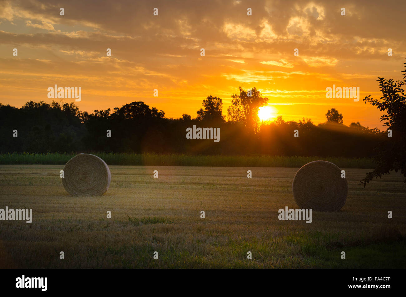 Hot summer sunrise hi-res stock photography and images - Alamy