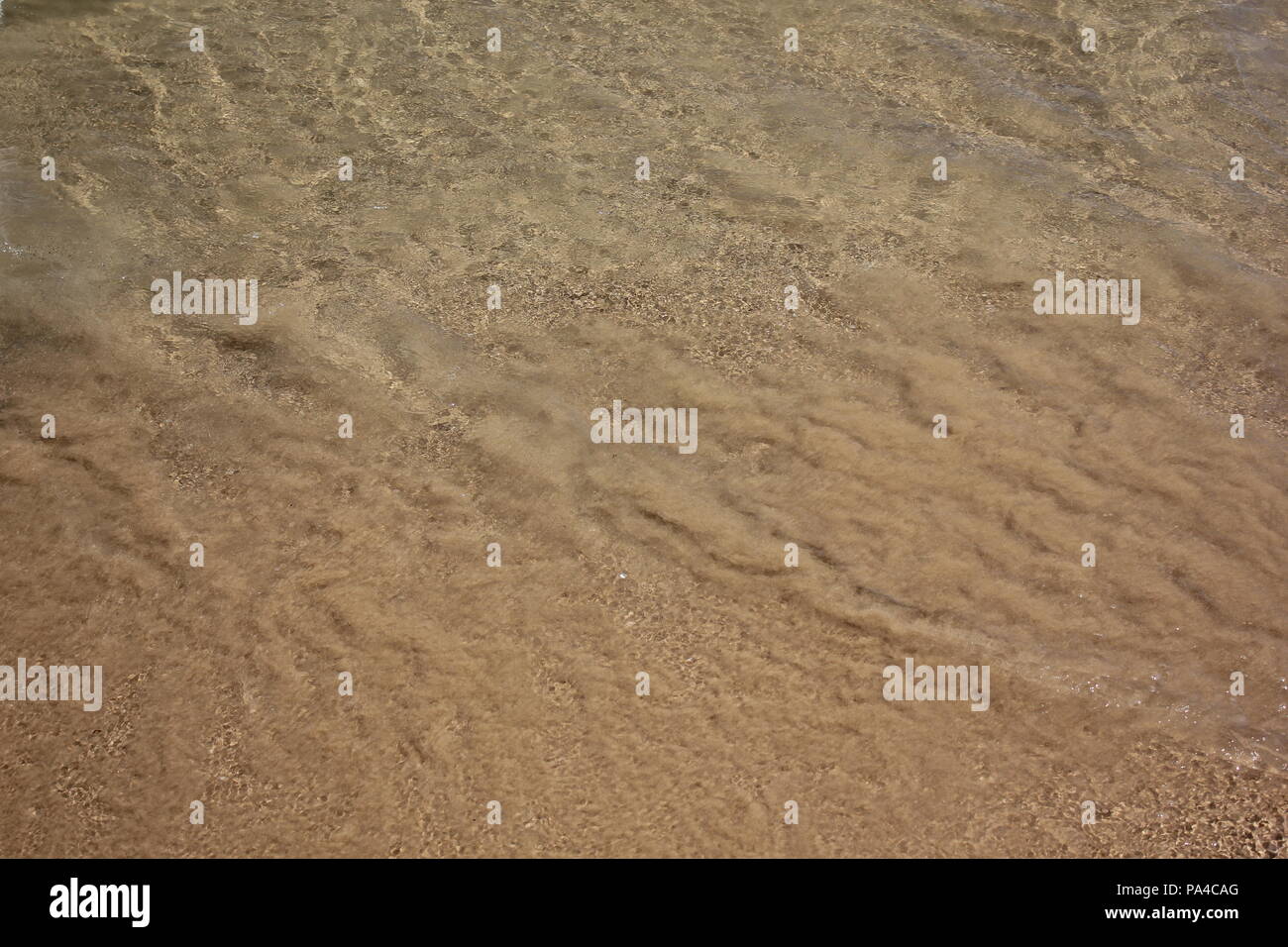 Sand drifting in the waves Chicago's Montrose Avenue Dog Beach on a fun ...