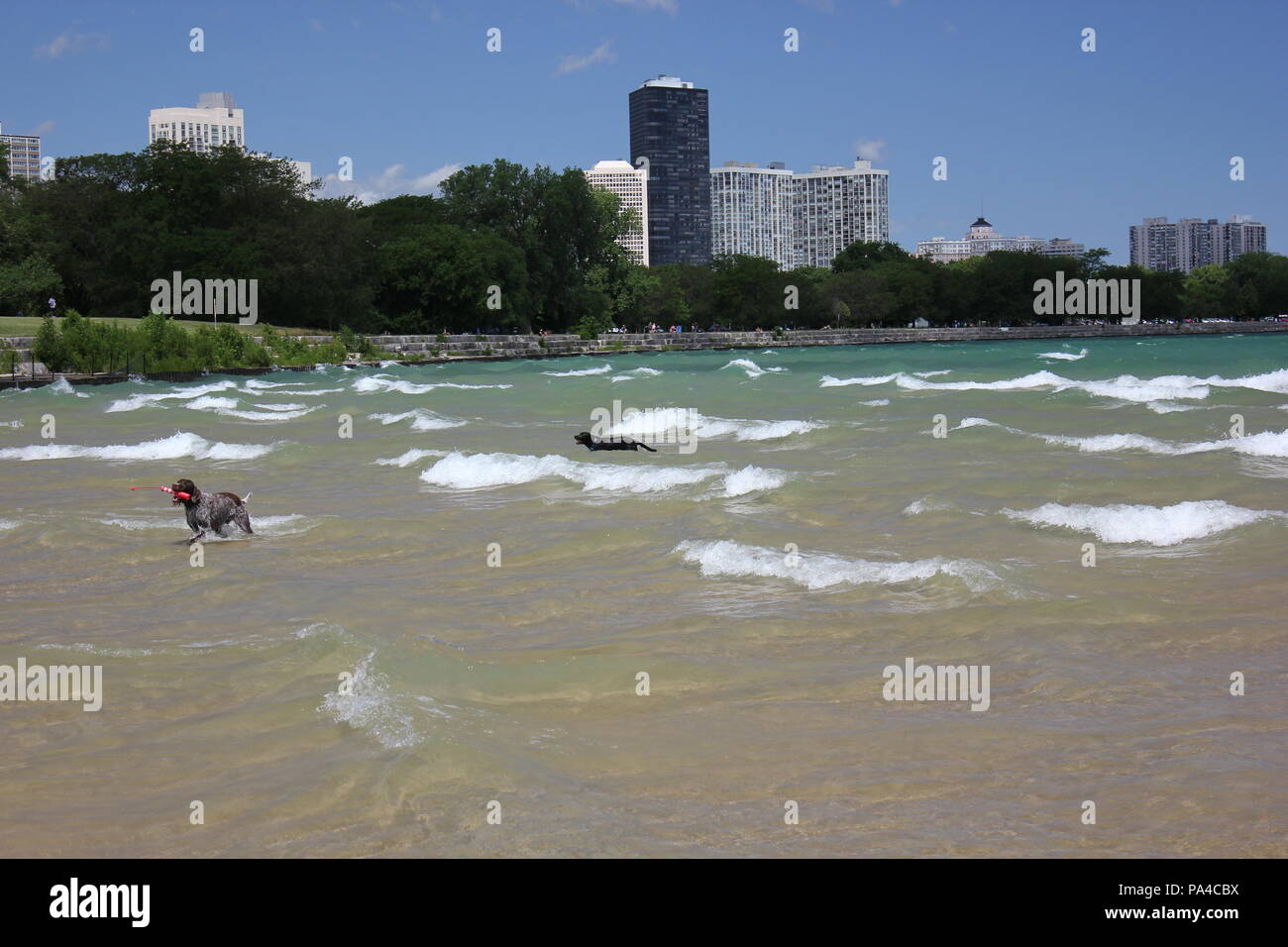 Montrose beach on lake hi-res stock photography and images - Alamy