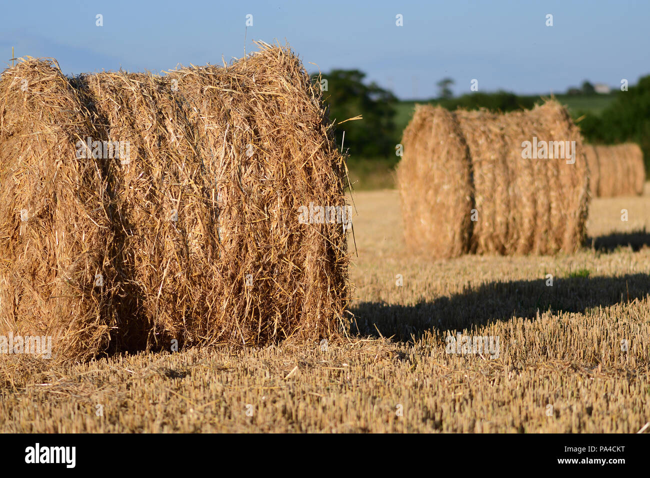 Straw bails hi-res stock photography and images - Alamy
