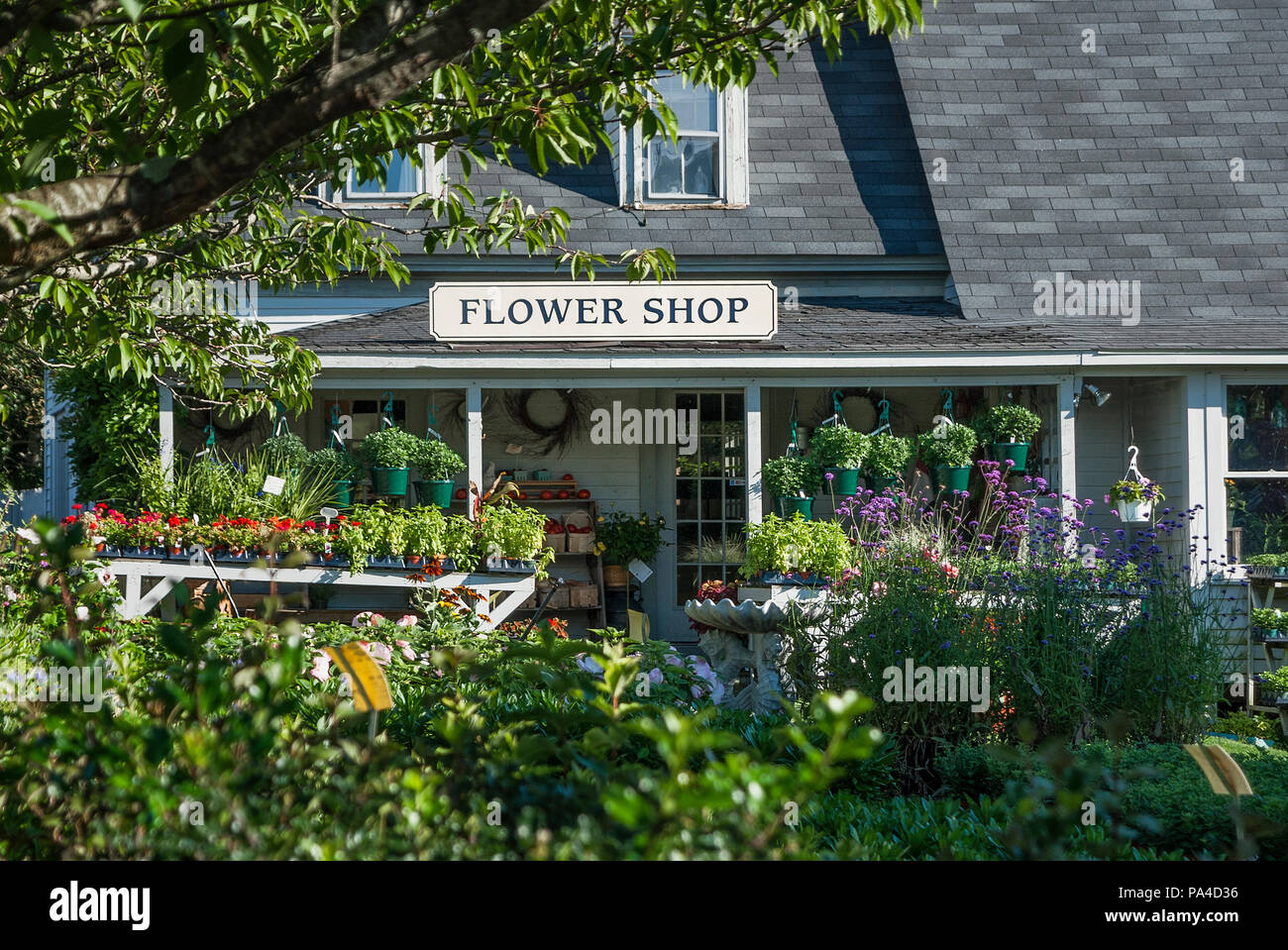 Flower cod hi-res stock photography and images - Alamy