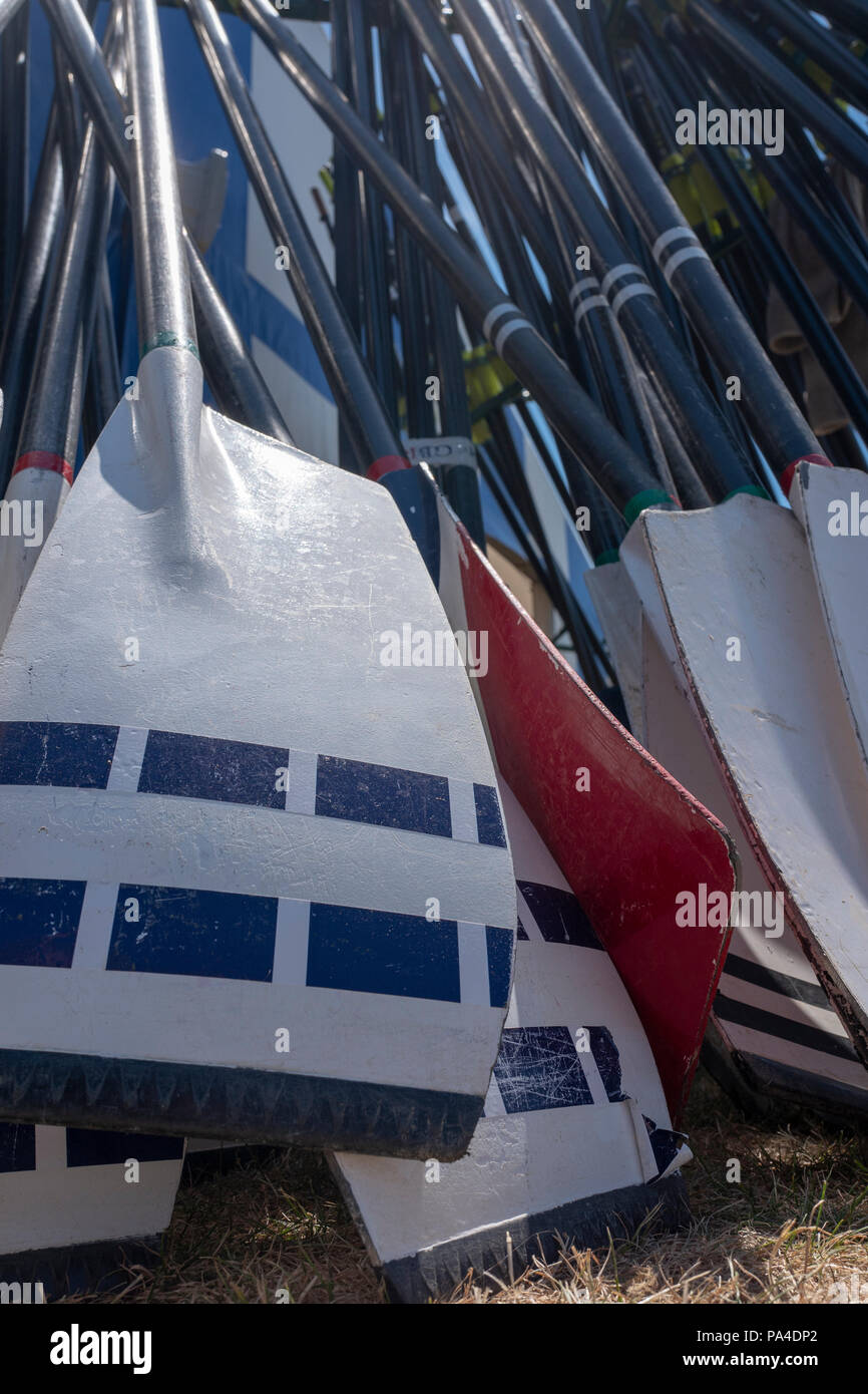 Sweep oars hi-res stock photography and images - Alamy