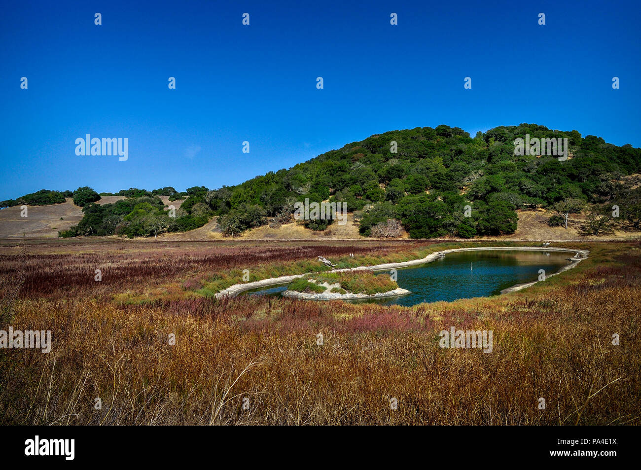 Clear rural scene hi-res stock photography and images - Alamy
