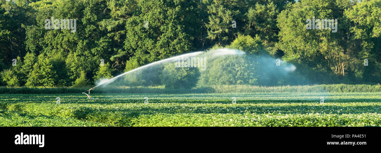 Irrigation sprays watering farm field Stock Photo - Alamy