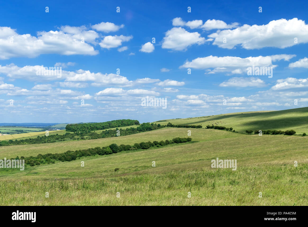 Field in South Downs, East Sussex Stock Photo - Alamy