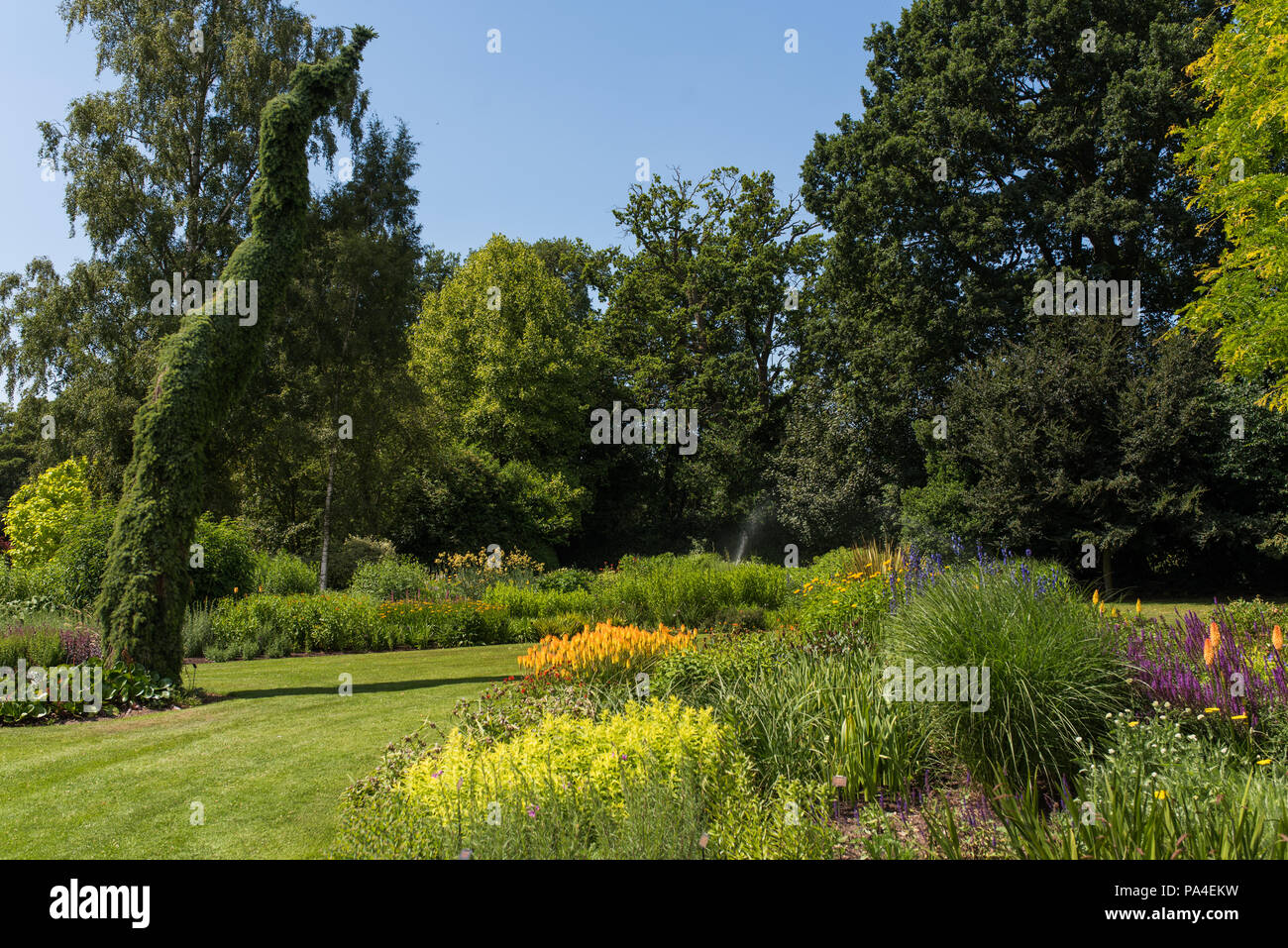 Bressingham gardens hi-res stock photography and images - Alamy