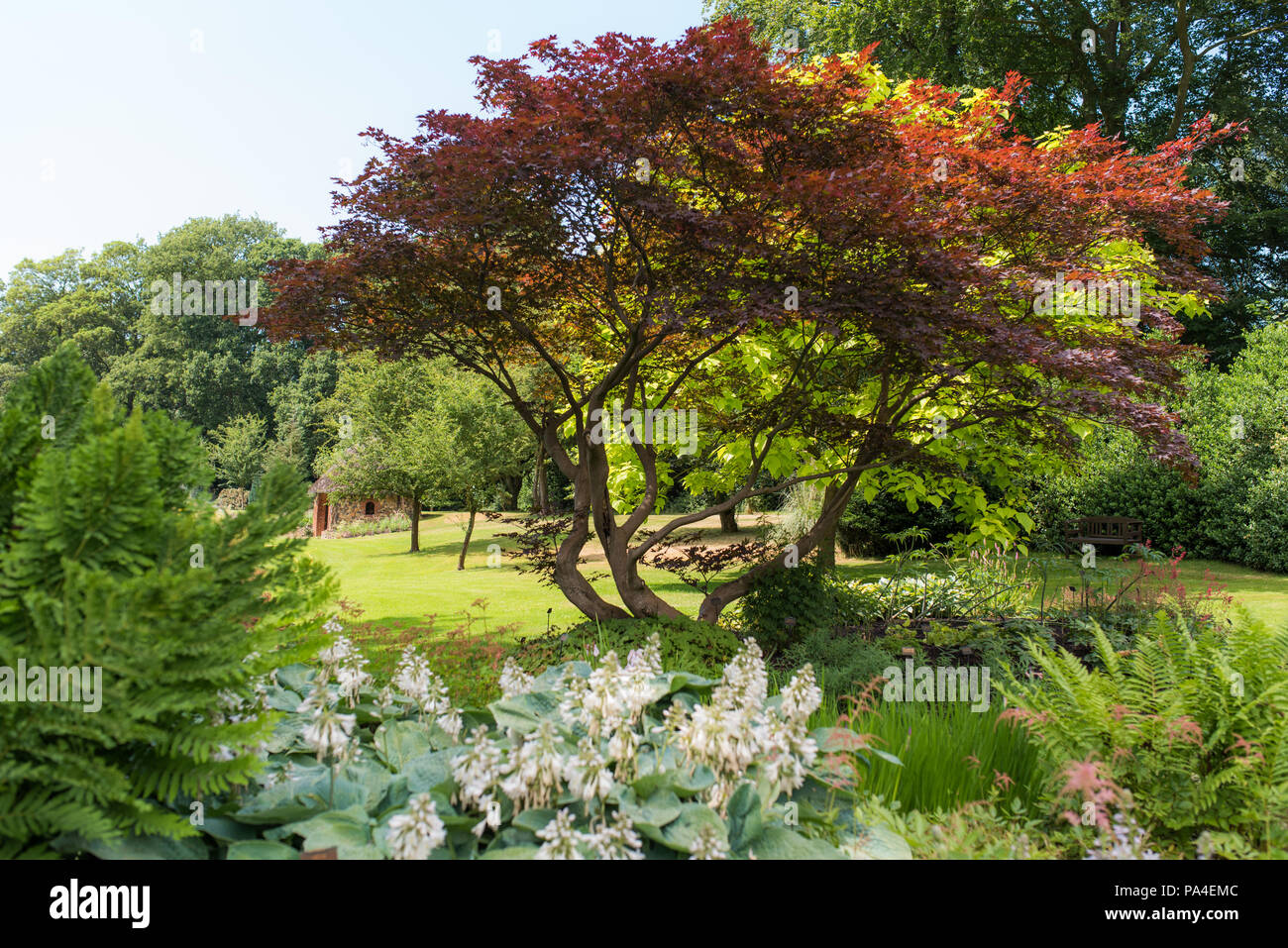 English garden wildlife hi-res stock photography and images - Alamy