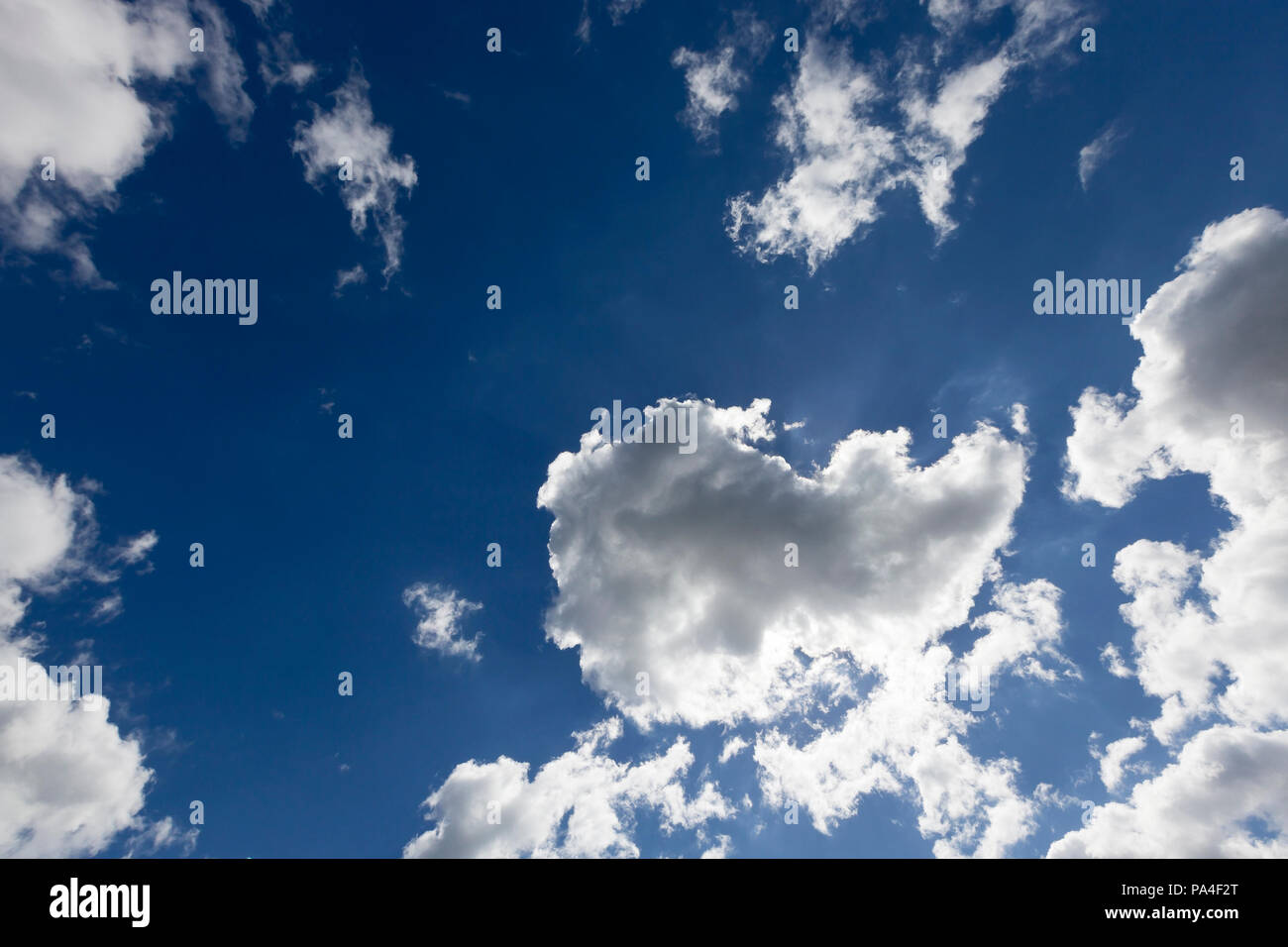 blue sky and white clouds illuminated by sunlight in windy weather ...