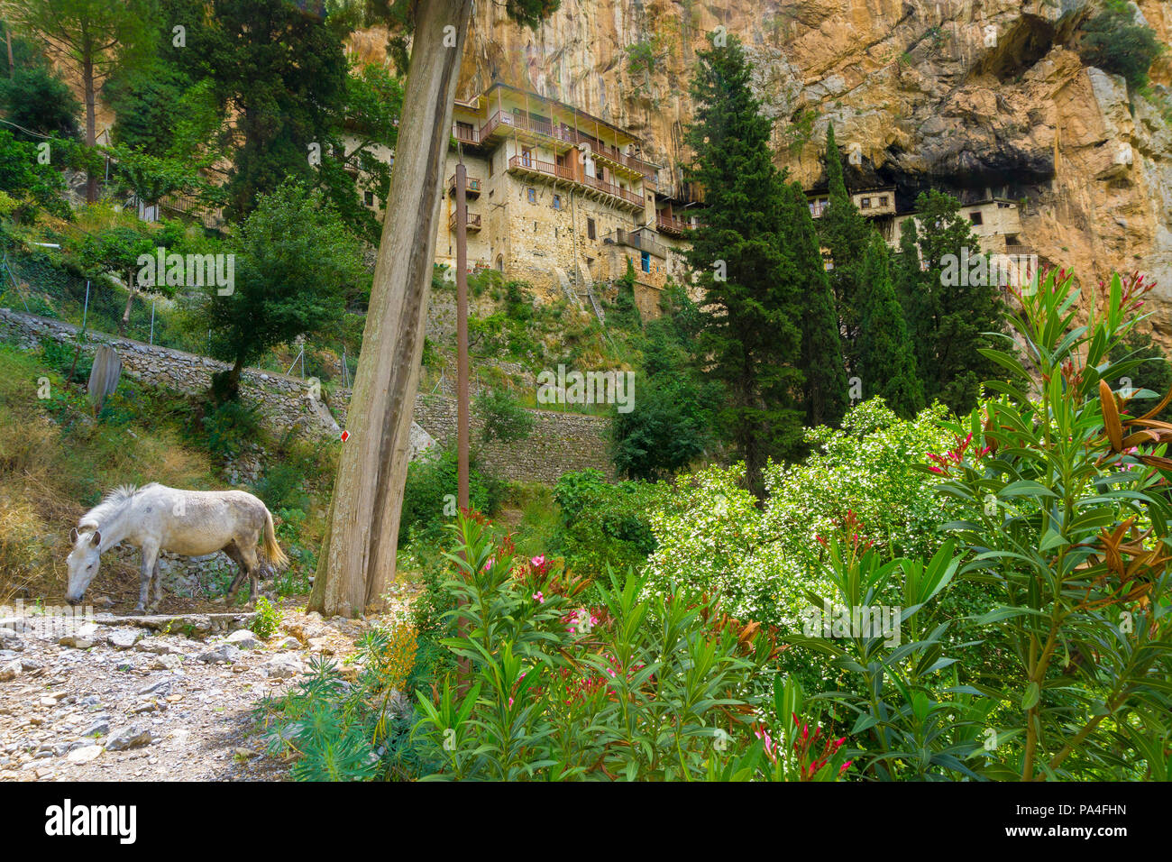 Prodromos monastery hi-res stock photography and images - Alamy