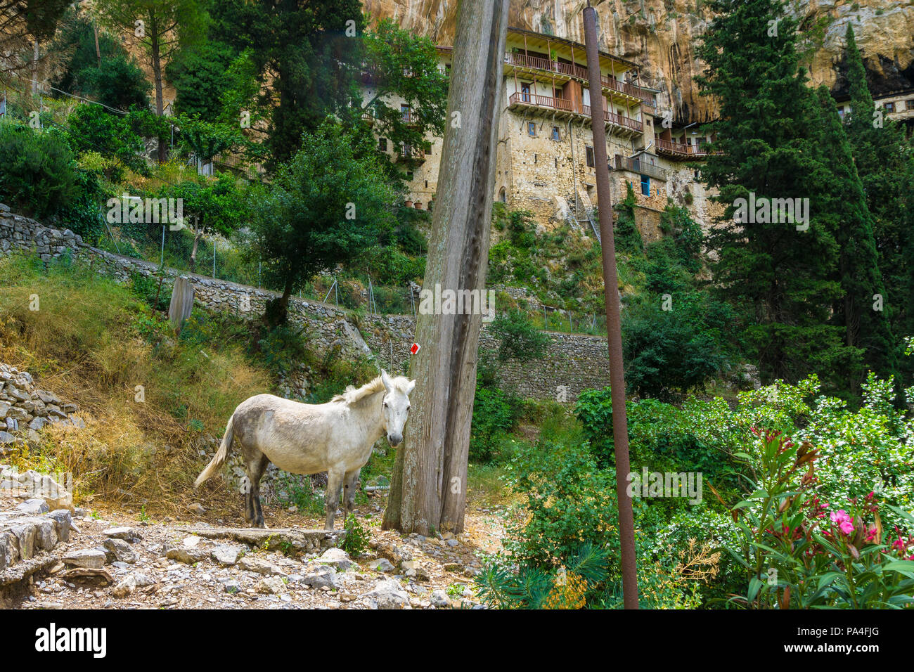 Prodromos monastery hi-res stock photography and images - Alamy
