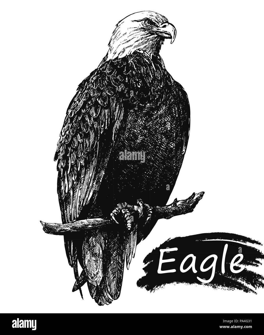 Hand drawn sketch style eagle isolated on white background. Vector ...