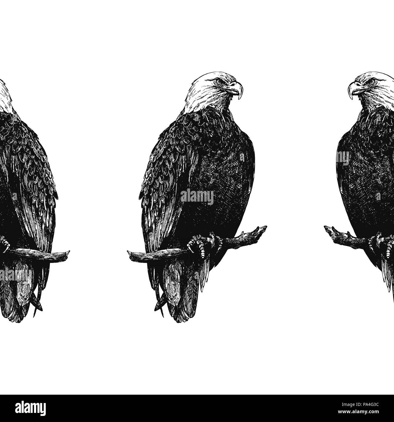 Seamless pattern of hand drawn sketch style eagles isolated on white ...