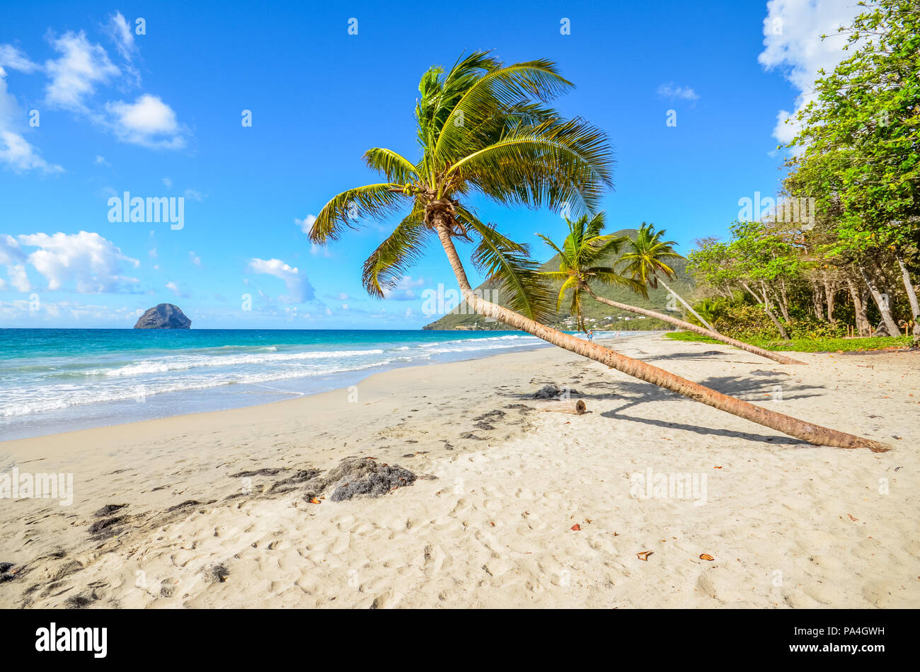 Caribbean Martinique Le Diamant beach coconut Stock Photo - Alamy