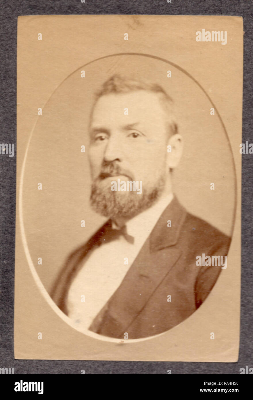 Angus w hi-res stock photography and images - Alamy