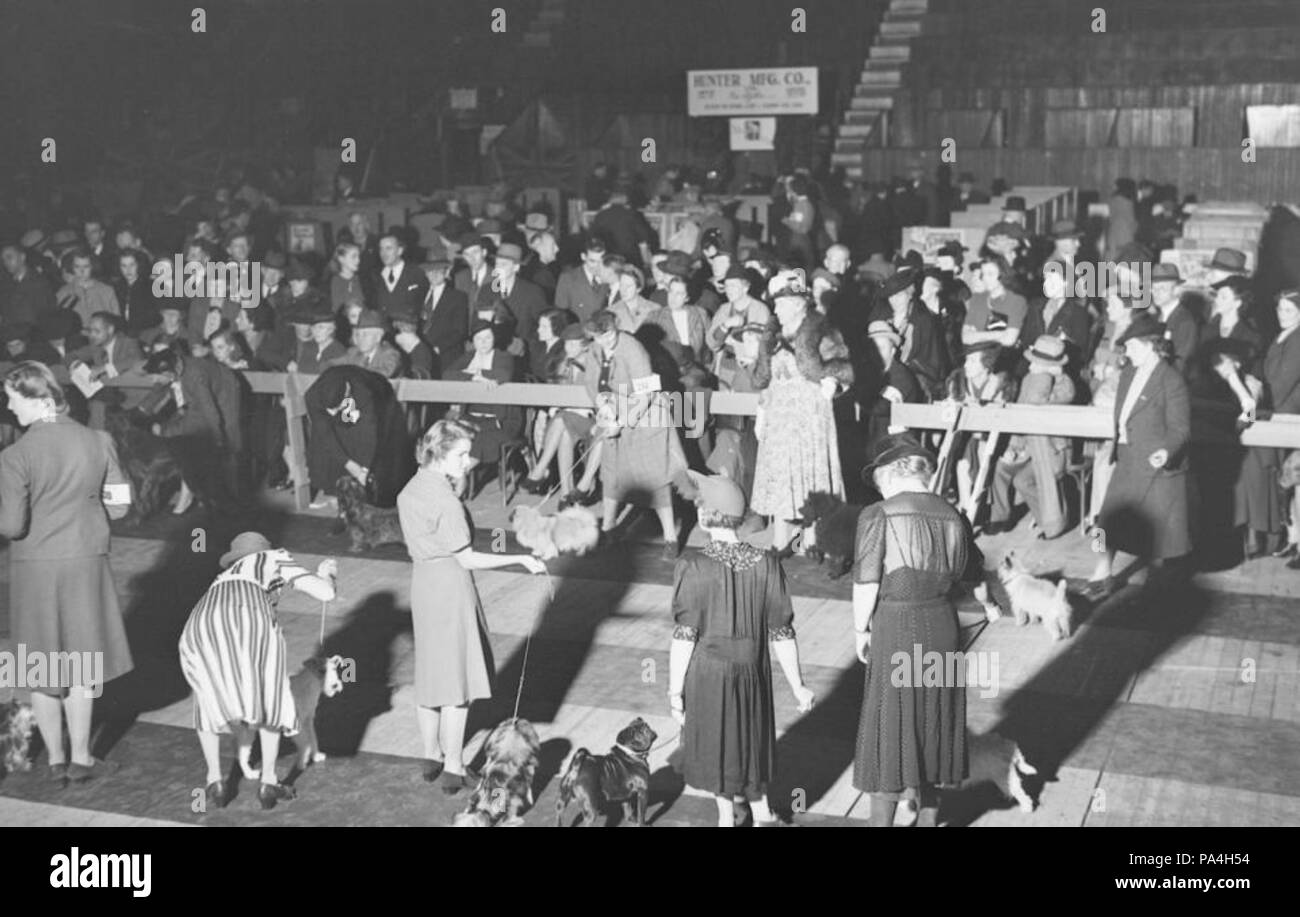 Community animal welfare Black and White Stock Photos & Images - Alamy