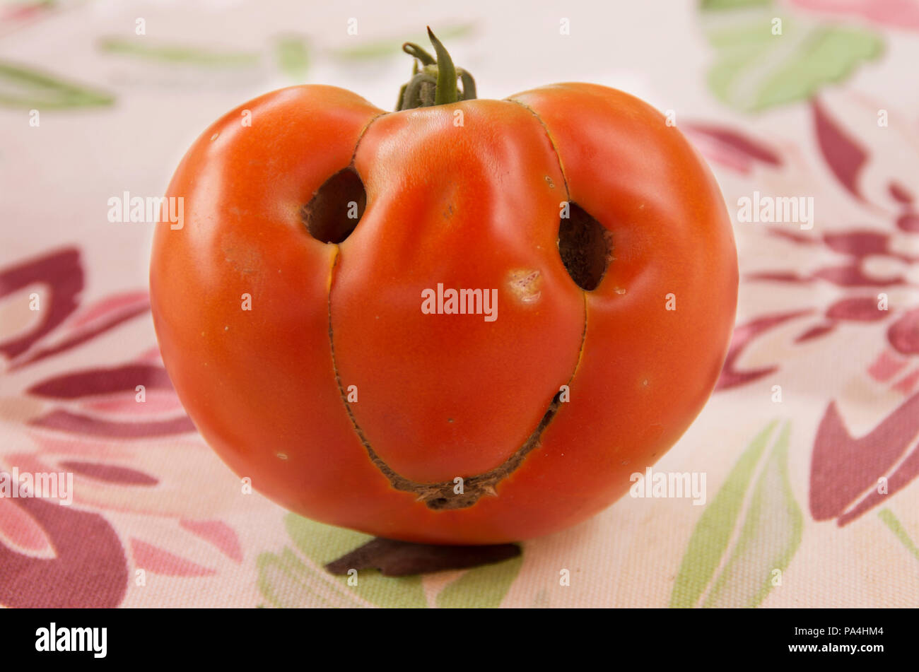 A Tomato that grew on the Vine forming a smiley face Stock Photo - Alamy