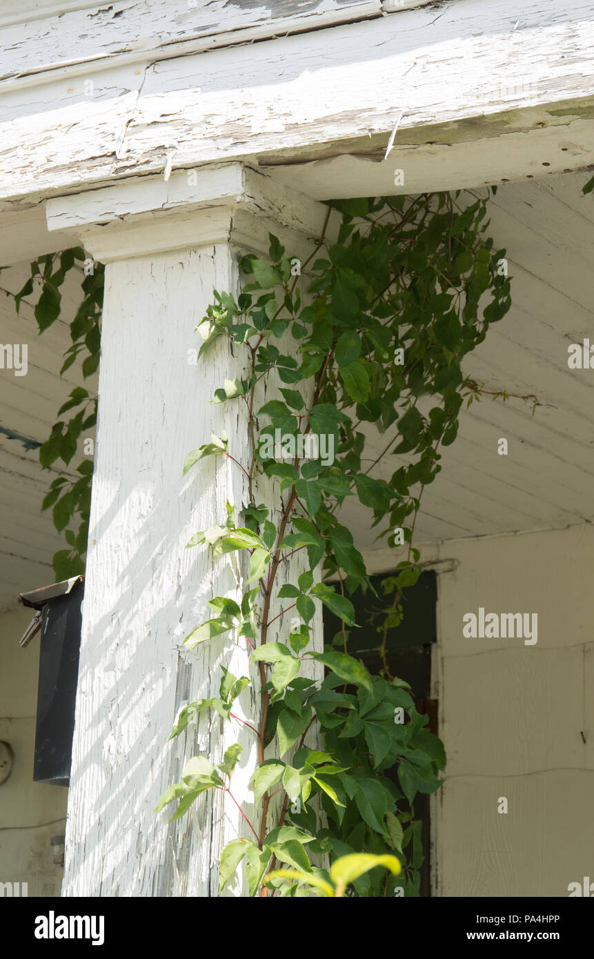 Fron porch hi-res stock photography and images - Alamy