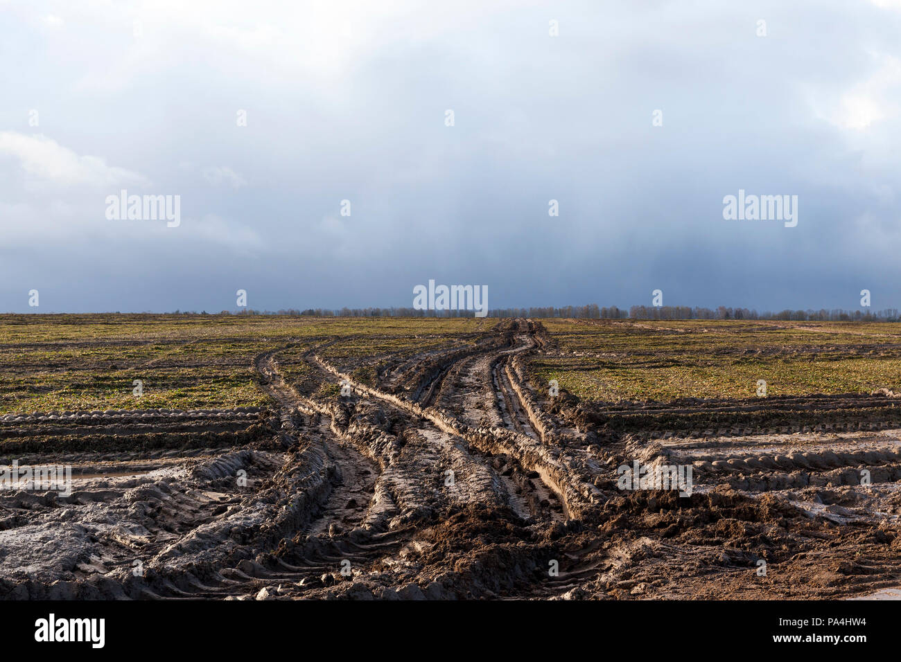 deep ruts in the mud formed after the passage of heavy trucks , Photo ...