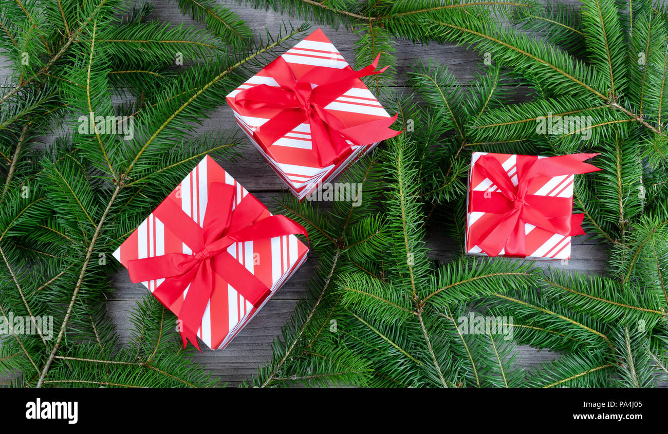 Overhead tree branches hi-res stock photography and images - Alamy