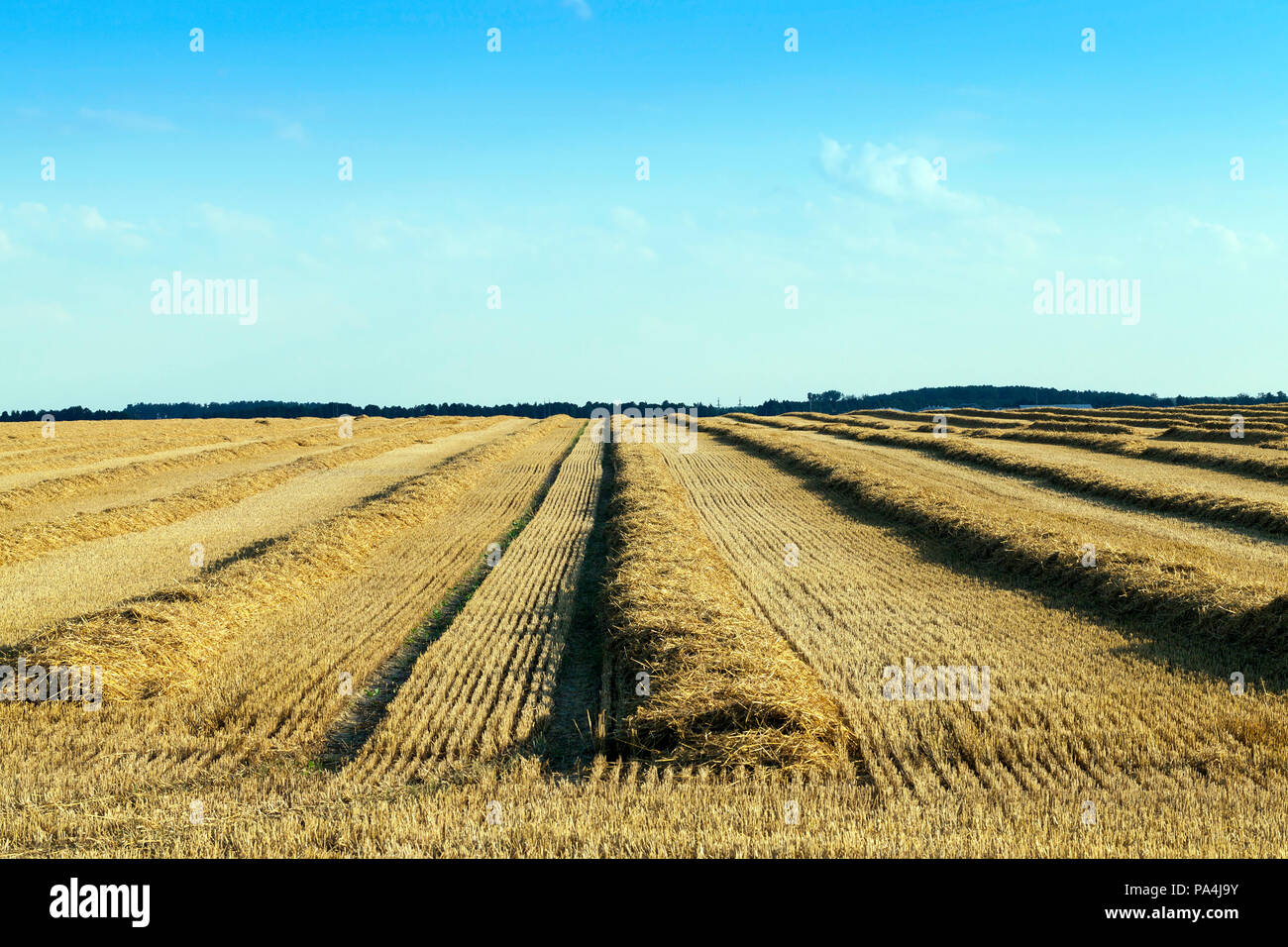Straight rows hi-res stock photography and images - Alamy