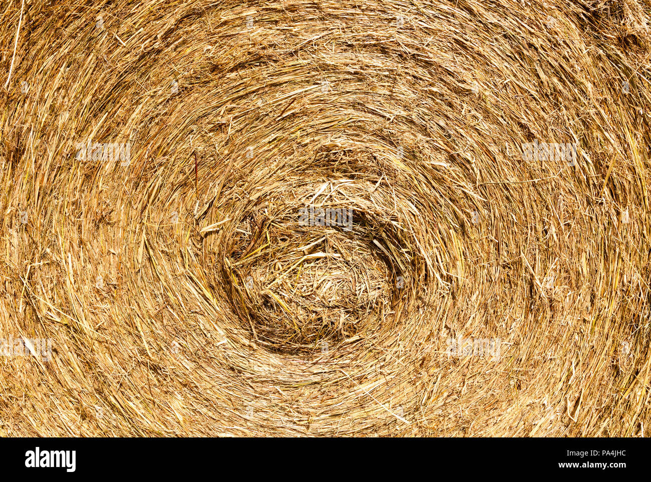 background of straw stack, twisted in the form of a spiral for storage ...