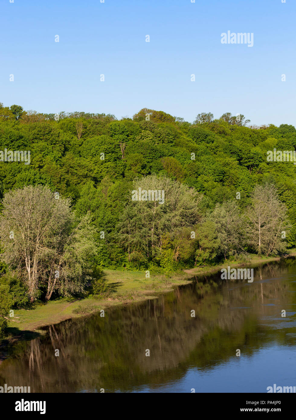 Types Of Deciduous