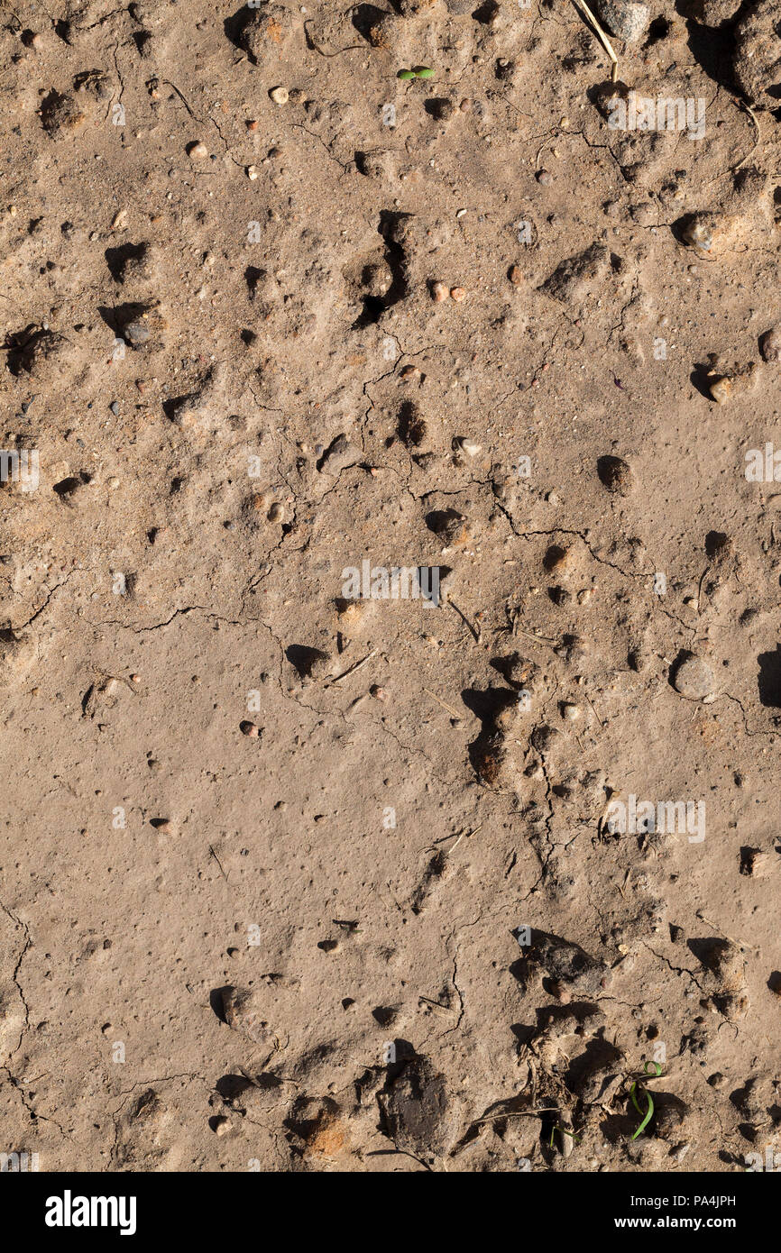 dry soil with cracks in the field, top view Stock Photo - Alamy