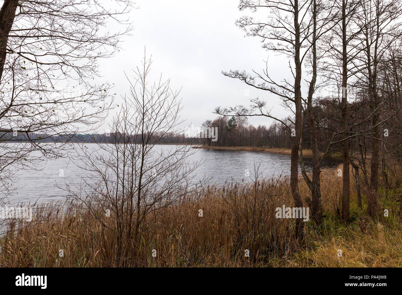 cloudy landscape on the lake near the forest in the autumn season Stock ...