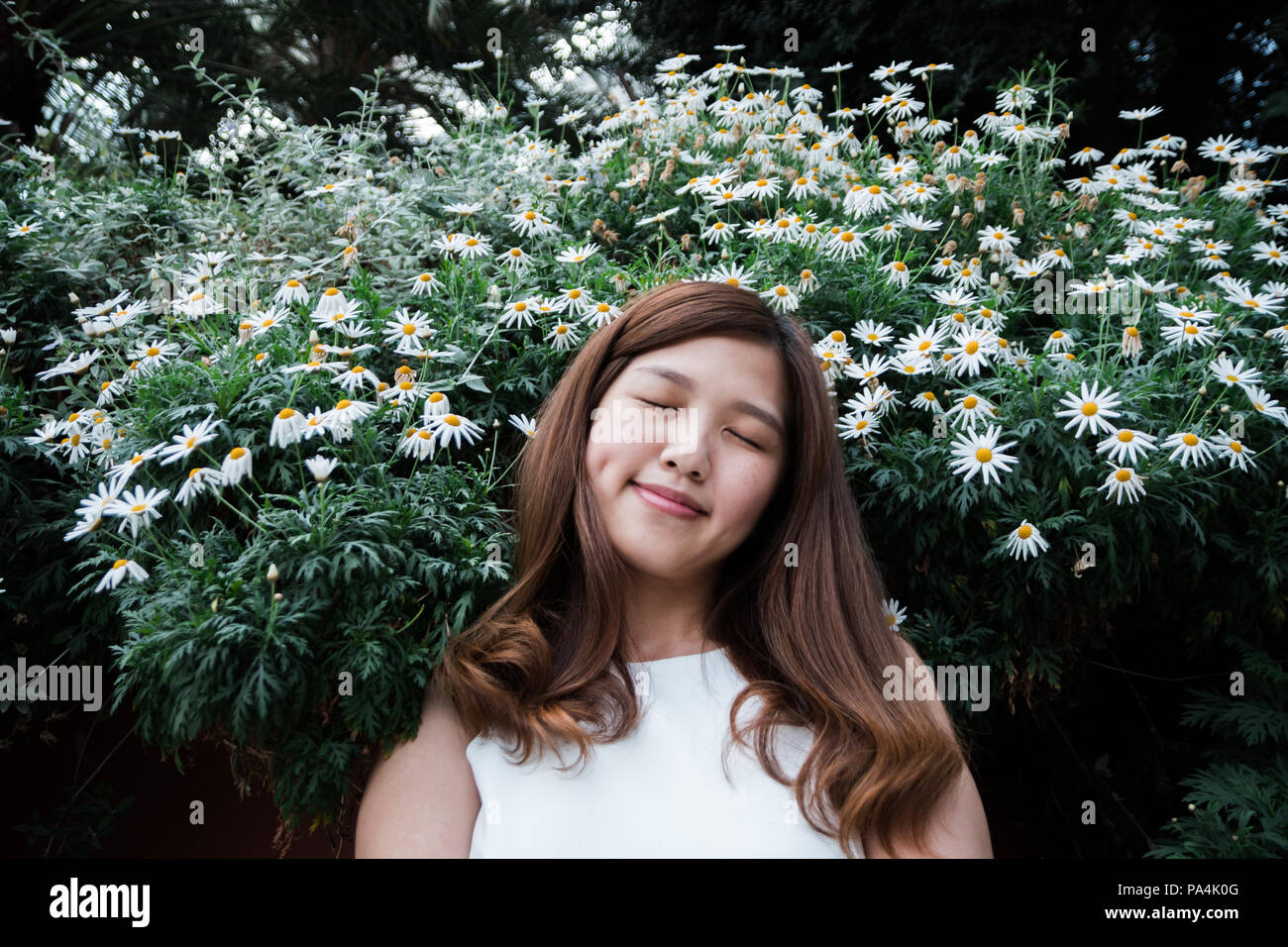 Portrait of beautiful and sweet Asian girl having fun with bushes of ...