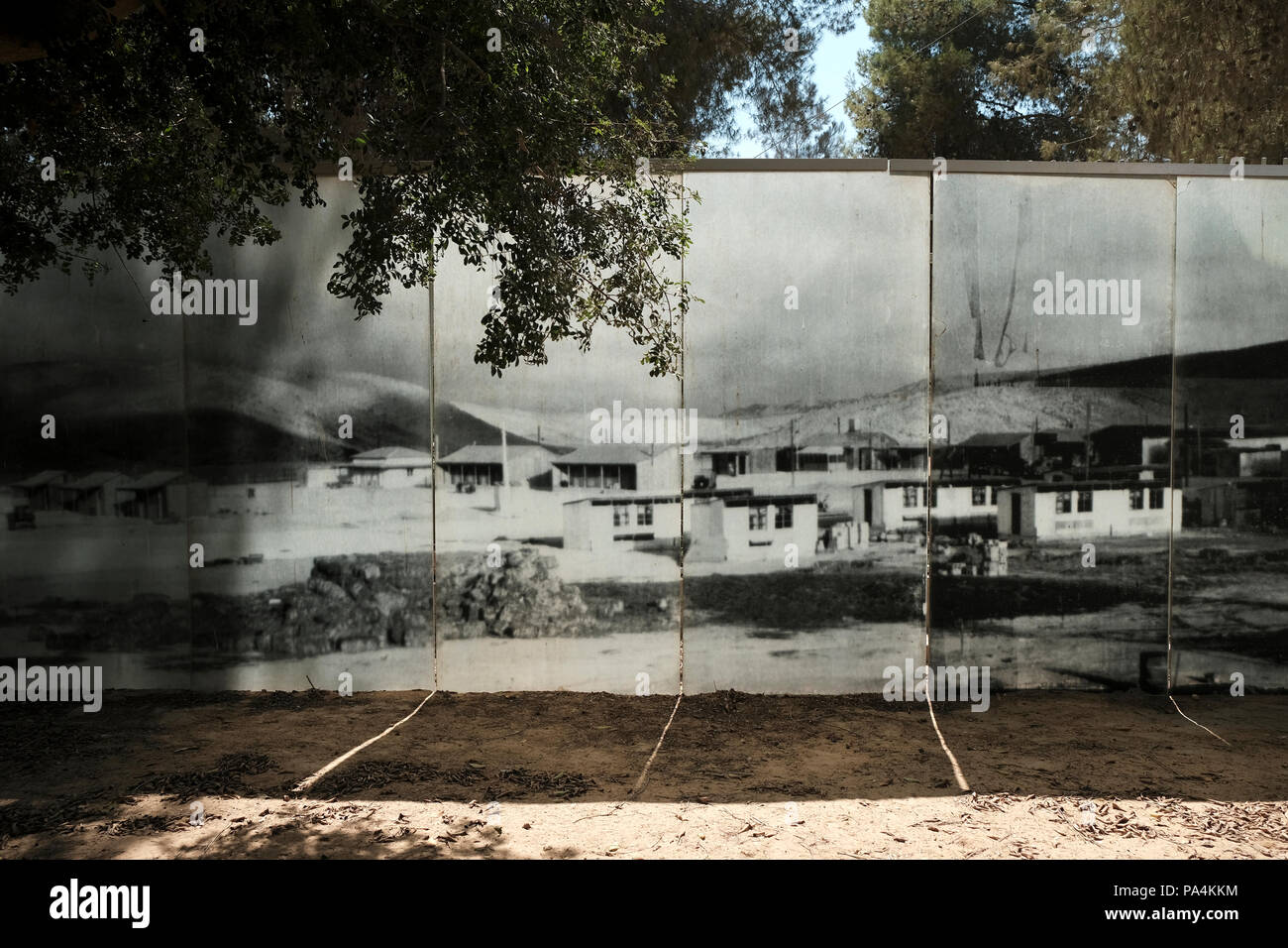 An installation of an old photo depicting Sde Boker during the 1950s at an olive grove in ...