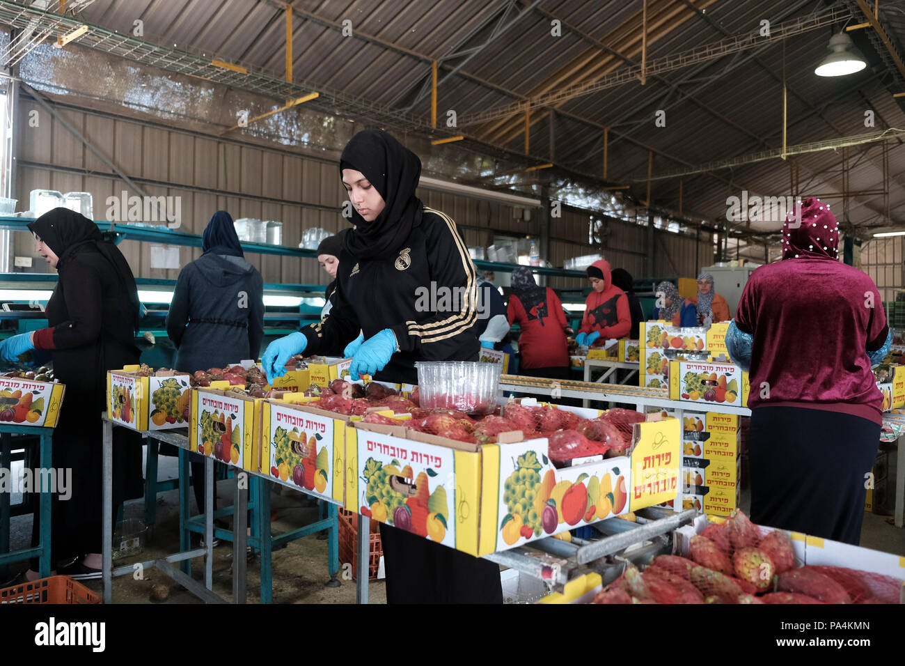 Female workers 1975 hi-res stock photography and images - Alamy