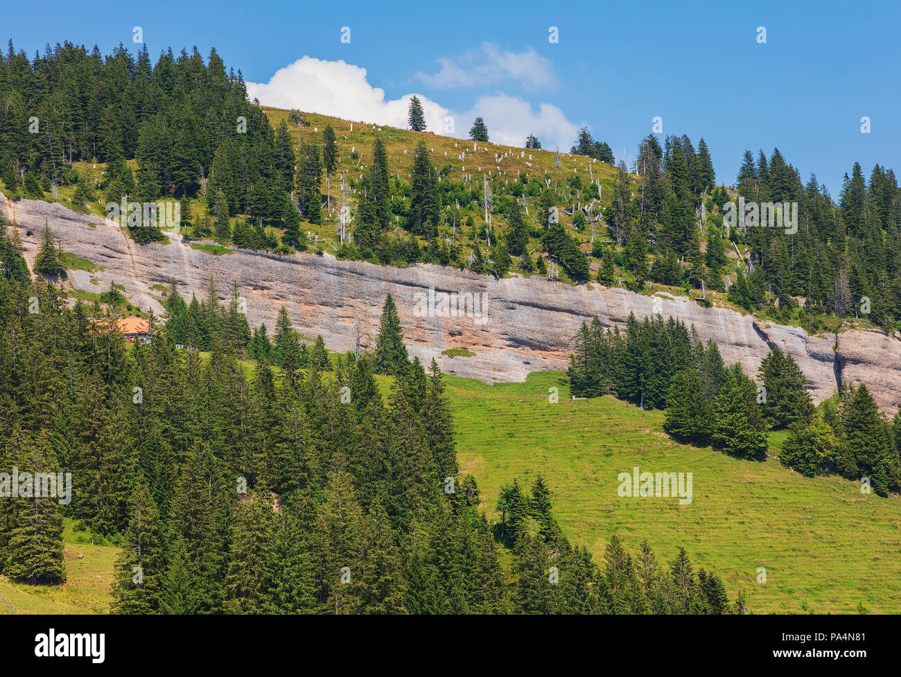 View on Mt. Rigi in Switzerland in summer. Mt Rigi is a popular tourist ...
