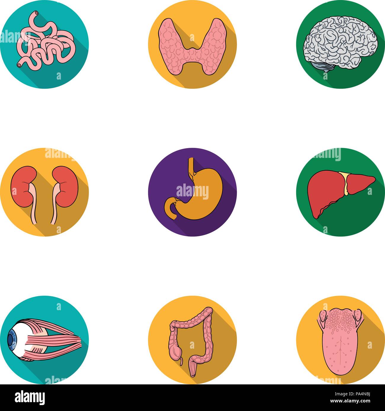 Human organs set icons in flat design. Big collection of human organs ...